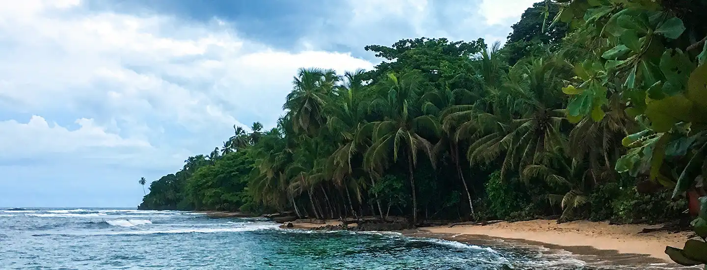Caribe - Visite Costa Rica - Explore playas, vida salvaje y actividades ...
