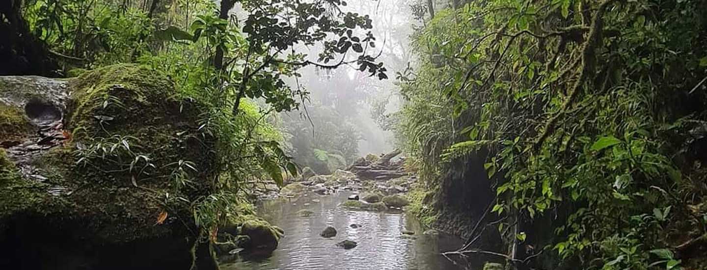 Dentro de la Reserva de Vida Silvestre Cerro Dantas - Visit Costa Rica