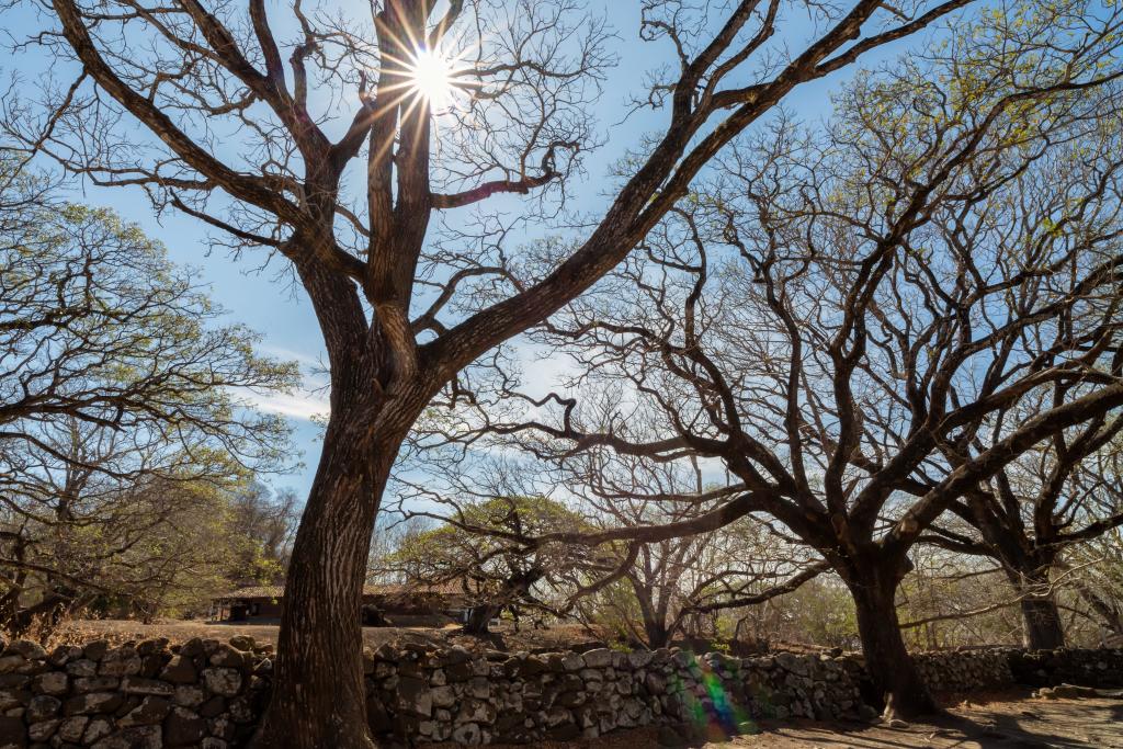 Parque Nacional Santa Rosa - Visit Costa Rica