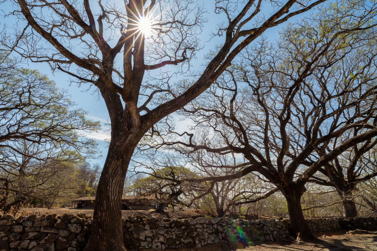 Parque Nacional Santa Rosa - Visit Costa Rica