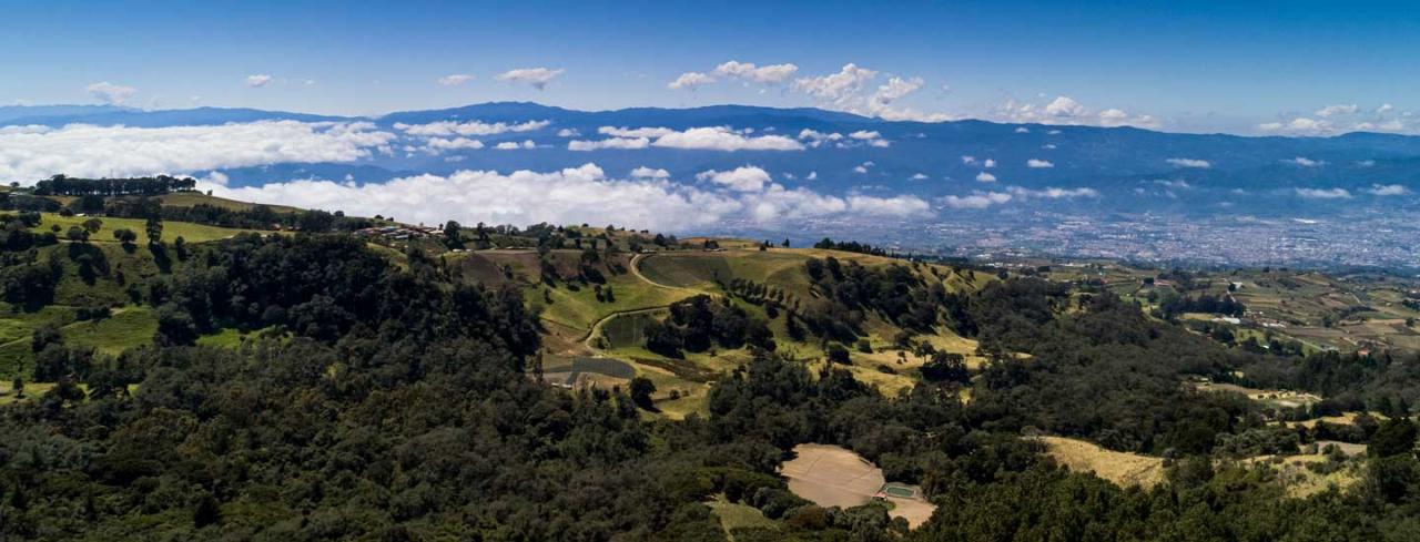 Visite el bosque mágico de Prusia - Visit Costa Rica