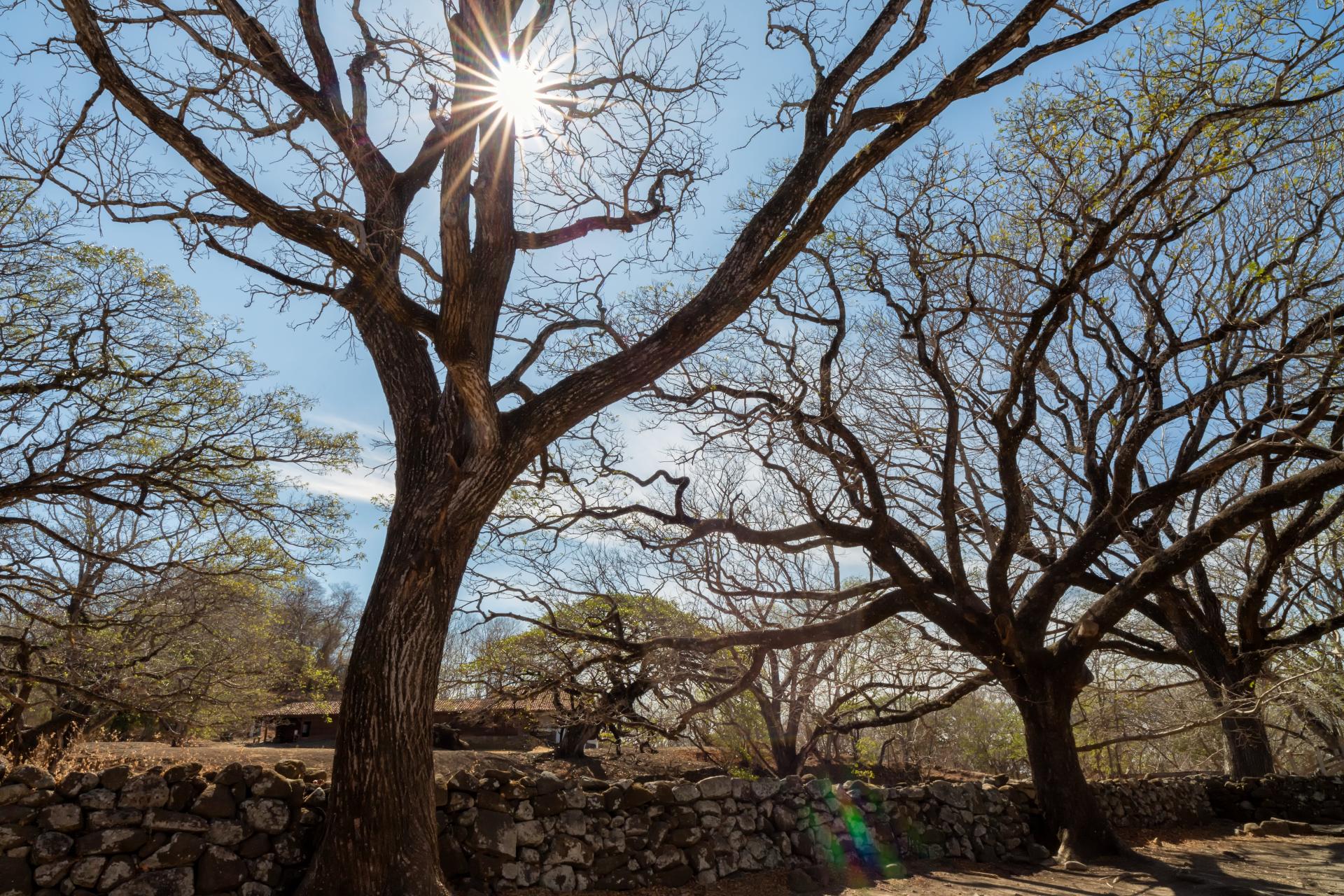 Parque Nacional Santa Rosa - Visit Costa Rica