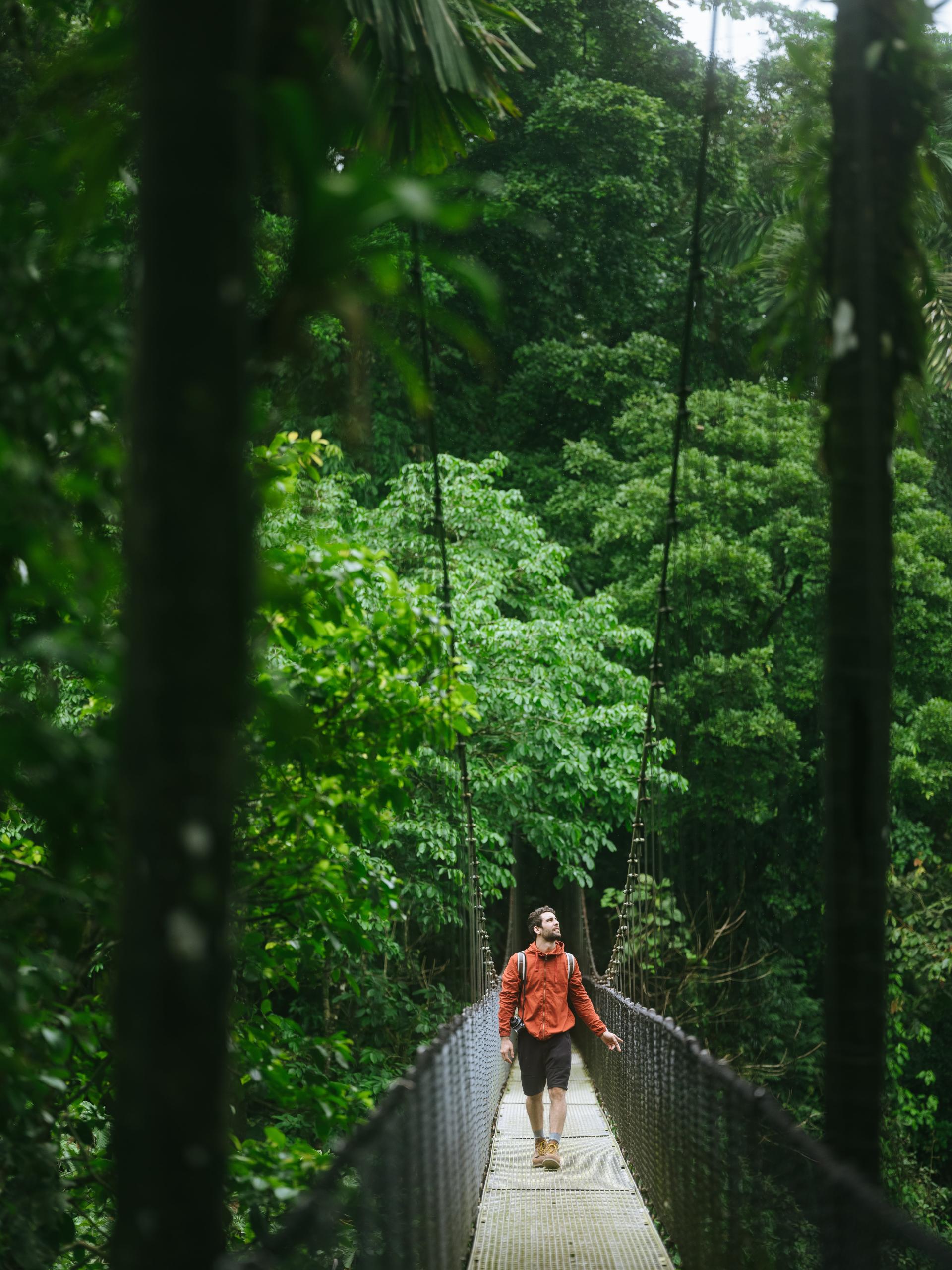 Parques Nacionales - Visite Costa Rica - Explore Volcanes, Selvas y ...