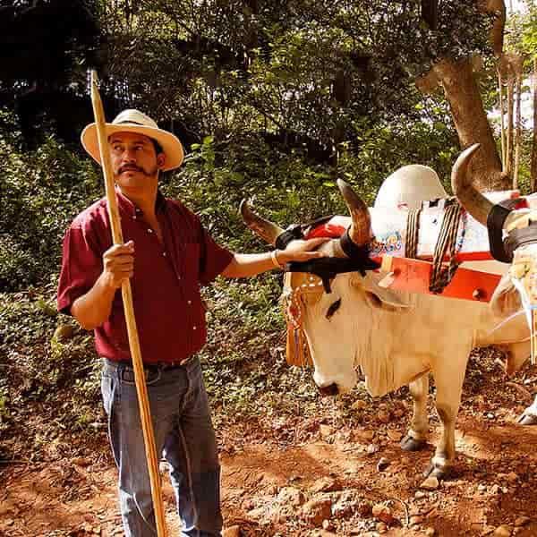 Turismo Rural - Visit Costa Rica